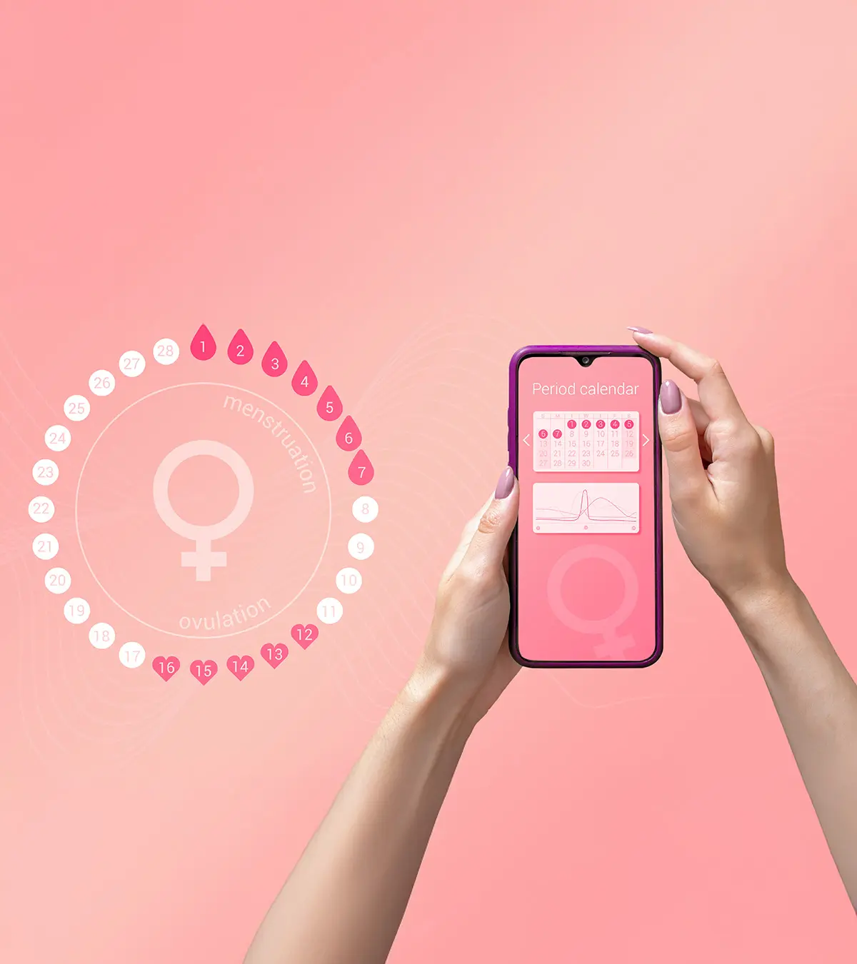 Reliable Menstrual Period Calculator & Calendar | Track Monthly Cycle