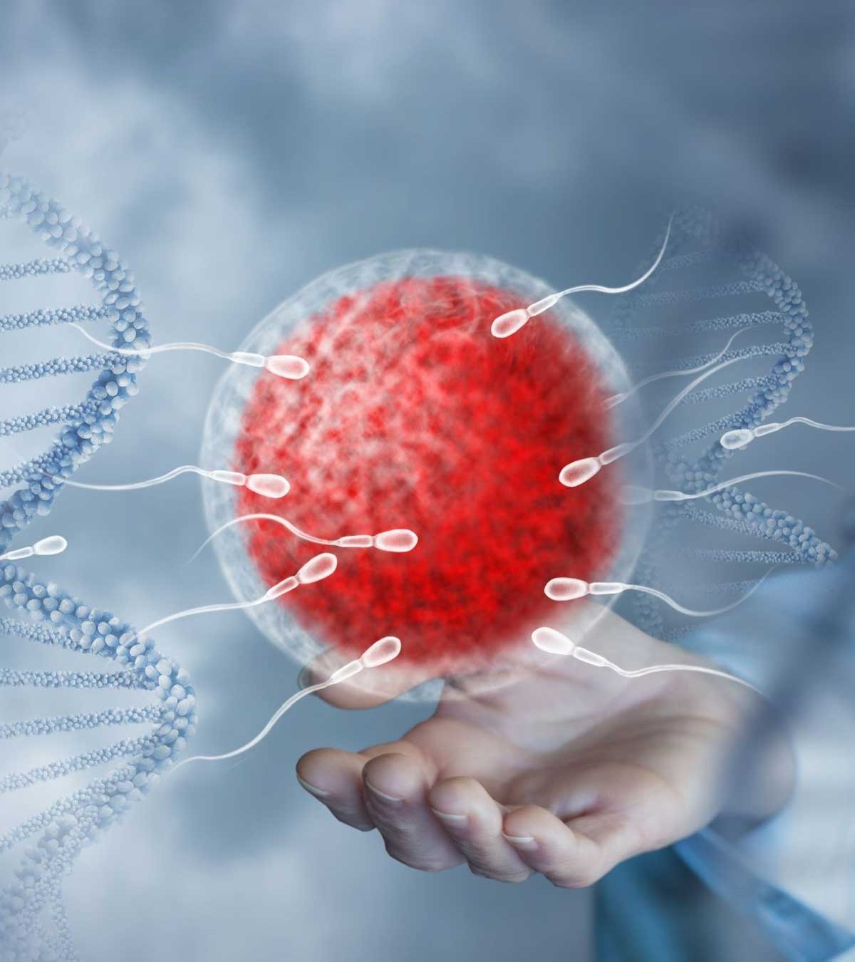 Implantation Calculator - When Does Implantation Bleeding Occur?