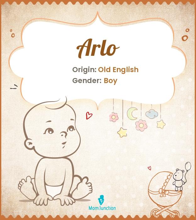 Arlo Name Meaning, Origin, History, And Popularity