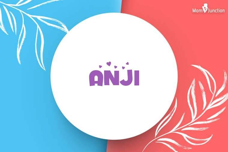 Anji Baby Name: Meaning, Origin, Popularity