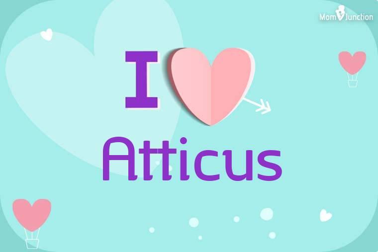 Atticus Name Meaning, Origin, History, And Popularity