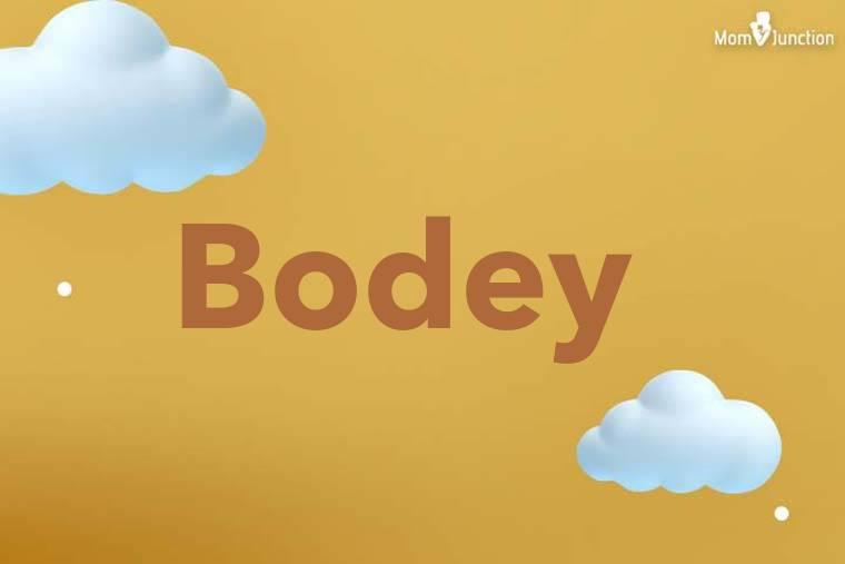 Origin, Meaning & Other Facts About Baby Name Bodey
