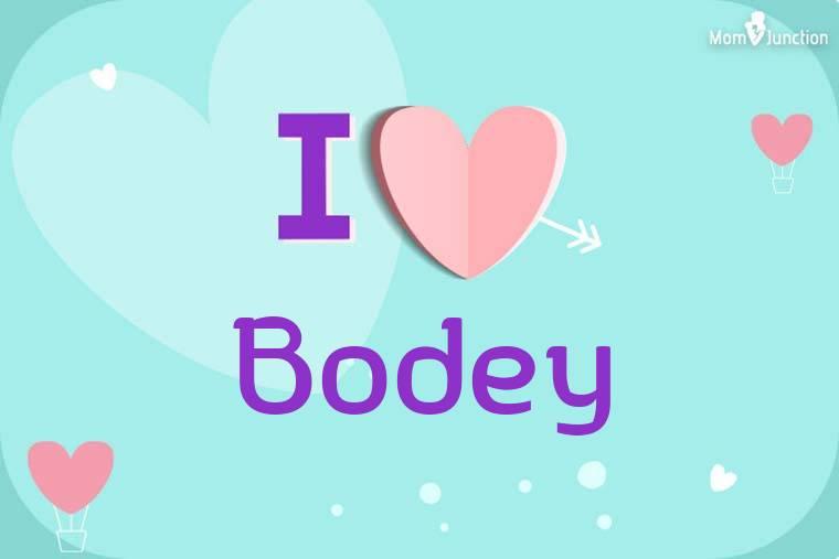 Origin, Meaning & Other Facts About Baby Name Bodey