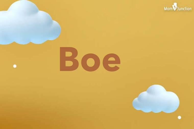 Origin, Meaning & Other Facts About Baby Name Boe