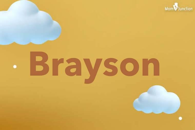 Origin, Meaning & Other Facts About Baby Name Brayson Name: Ultimate ...