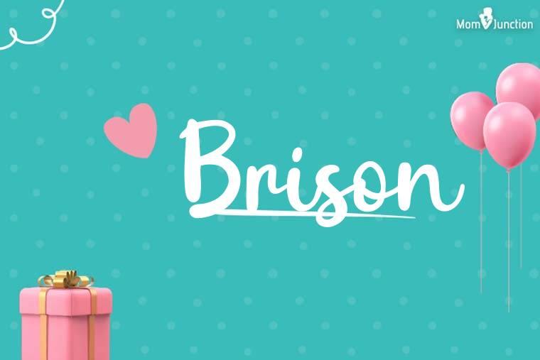 Origin, Meaning & Other Facts About Baby Name Brison