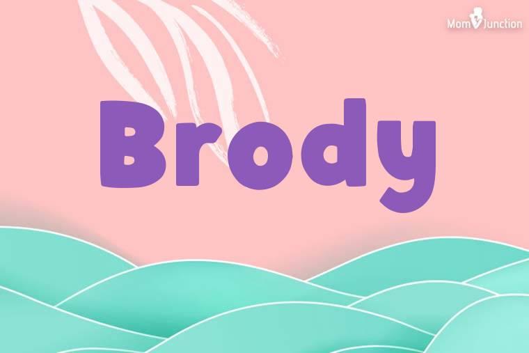Brody Name Meaning, Origin, History, And Popularity