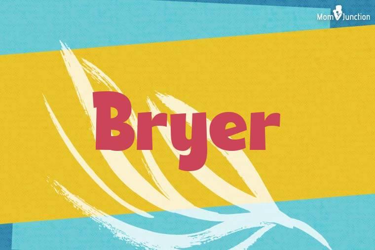 Origin, Meaning & Other Facts About Baby Name Bryer Name Meaning ...