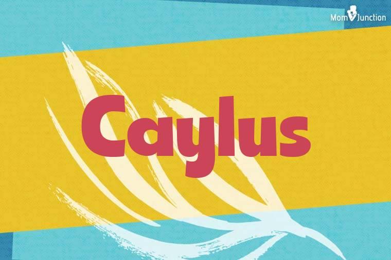 Caylus: Meaning, Origin, Popularity
