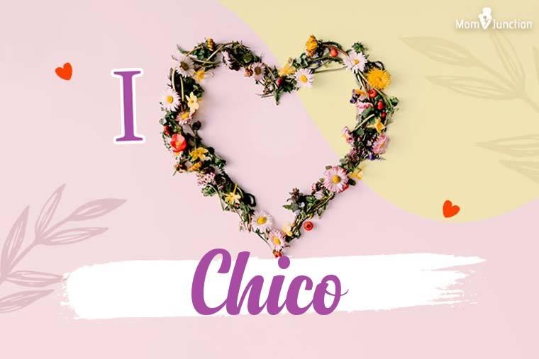 Chico Name Meaning And Origin: Your Ultimate Baby Name Guide: Meaning ...