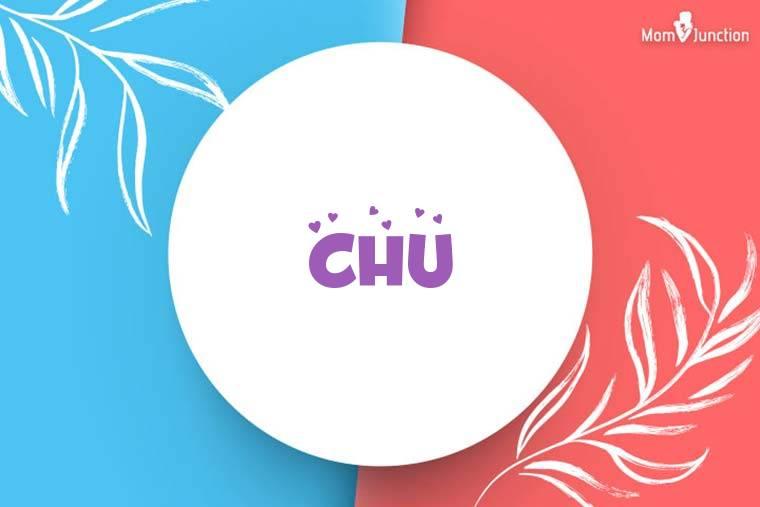Chu Name Meaning Guide: Origin, History & Pronunciation Tips: Meaning ...