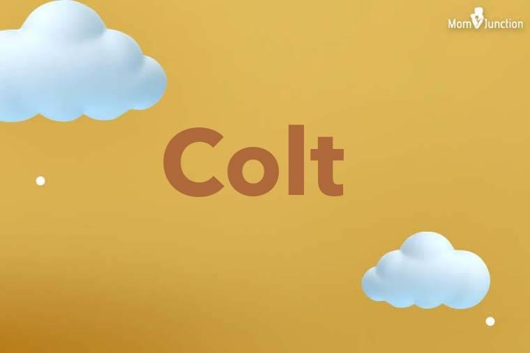 Colt Name Meaning And History: A Comprehensive Guide: Meaning, Origin ...