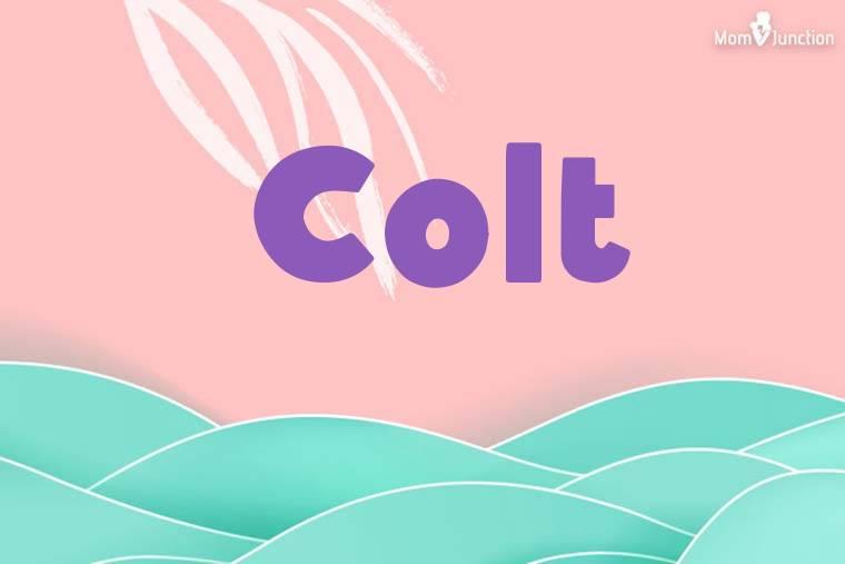 Colt Name Meaning And History: A Comprehensive Guide: Meaning, Origin ...