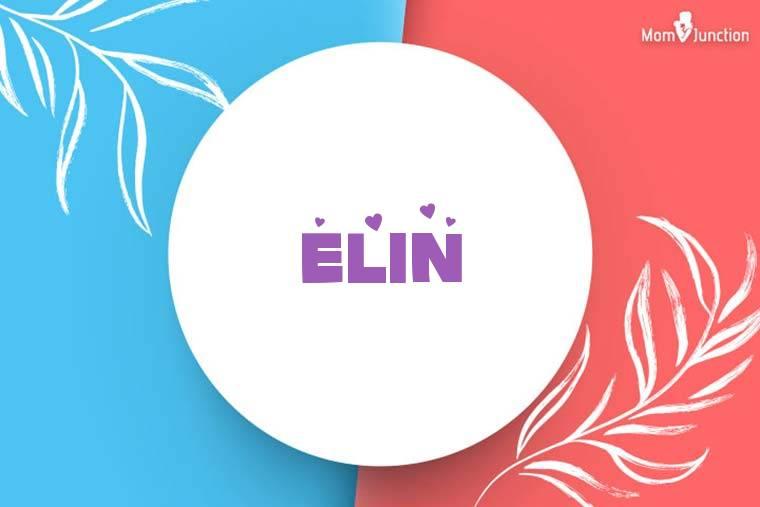 Elin Name, Meaning, Origin, History, And Popularity