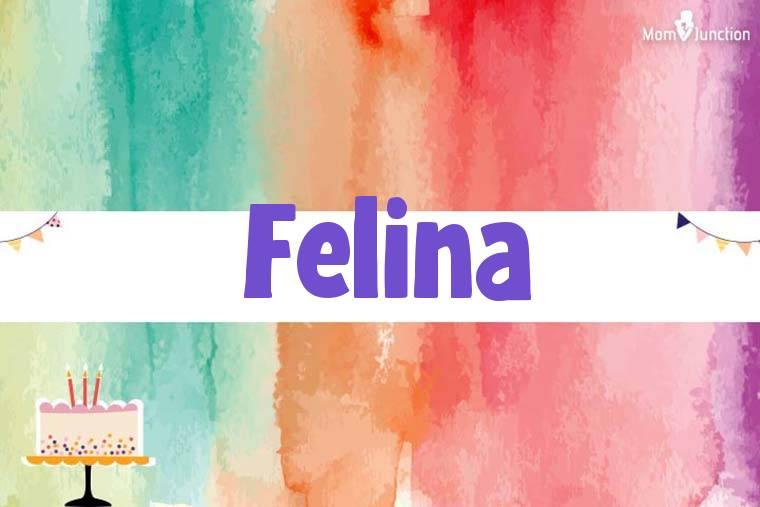 Felina Name Meaning, Origin, History, And Popularity