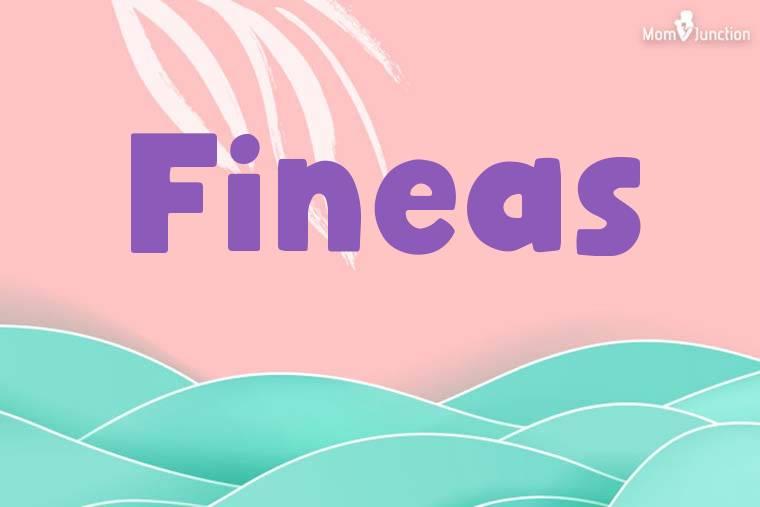 Explore Fineas: Meaning, Origin & Popularity