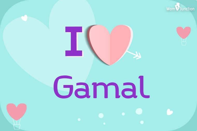 Explore Gamal: Meaning, Origin & Popularity