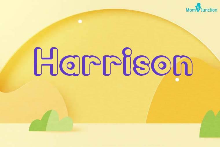 Harrison Name Meaning, Origin, History, And Popularity
