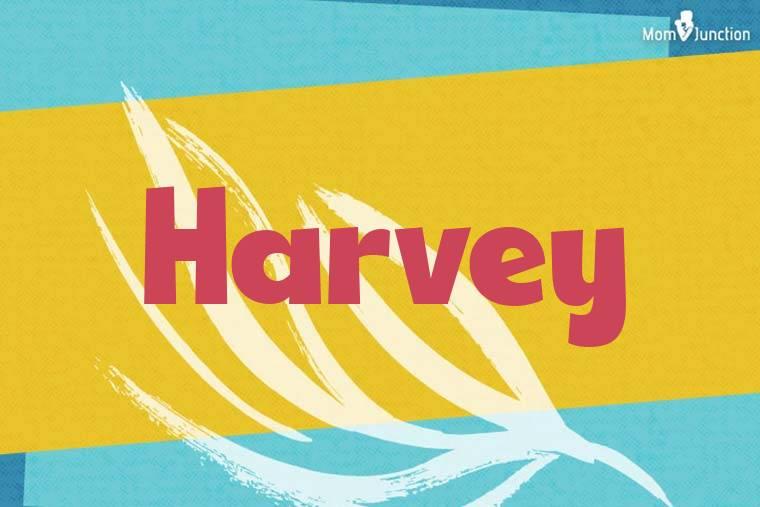 Harvey Name Meaning & Origin: Everything You Need To Know