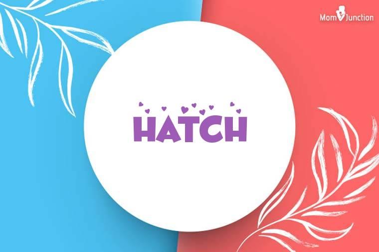 Explore Hatch: Meaning, Origin & Popularity