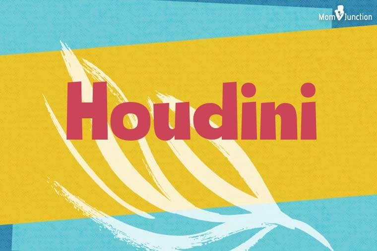 Explore Houdini: Meaning, Origin & Popularity