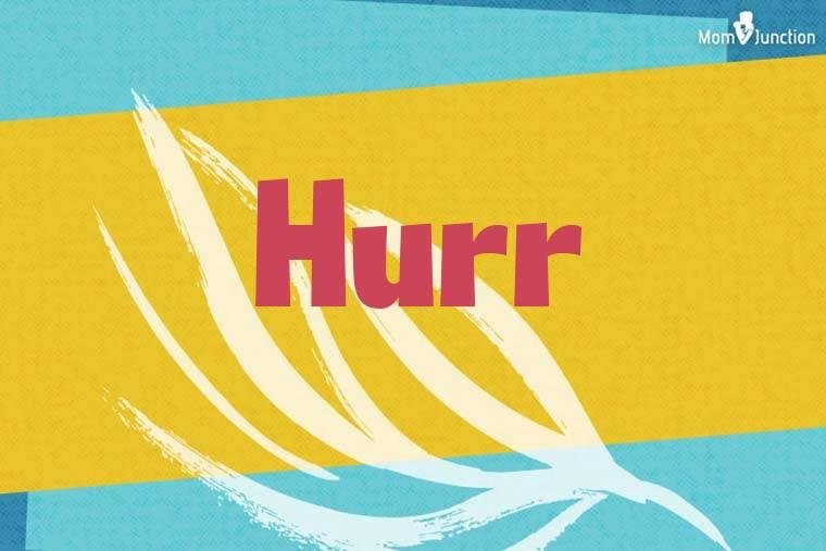 Explore Hurr: Meaning, Origin & Popularity