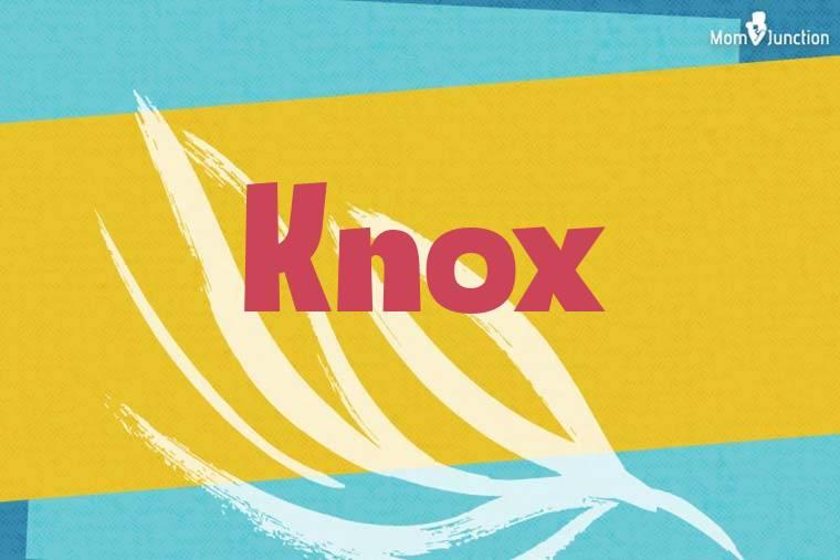 Knox Name Meaning, Origin, & Popularity In 2025: Key Insights