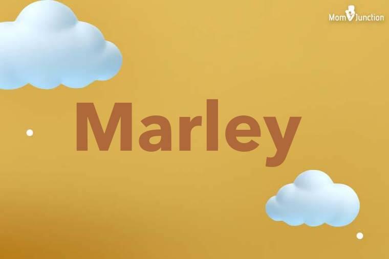 Marley Meaning, Origin, History, And Popularity