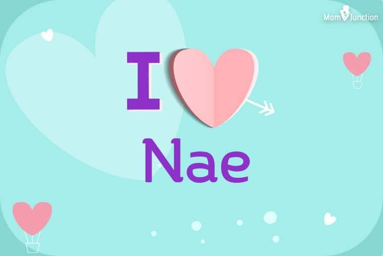 Explore Nae Meaning Origin And Popularity