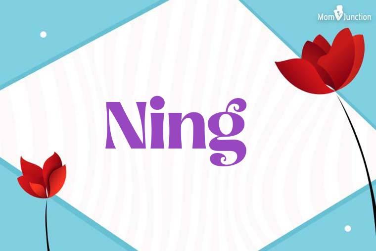 Explore Ning: Meaning, Origin & Popularity