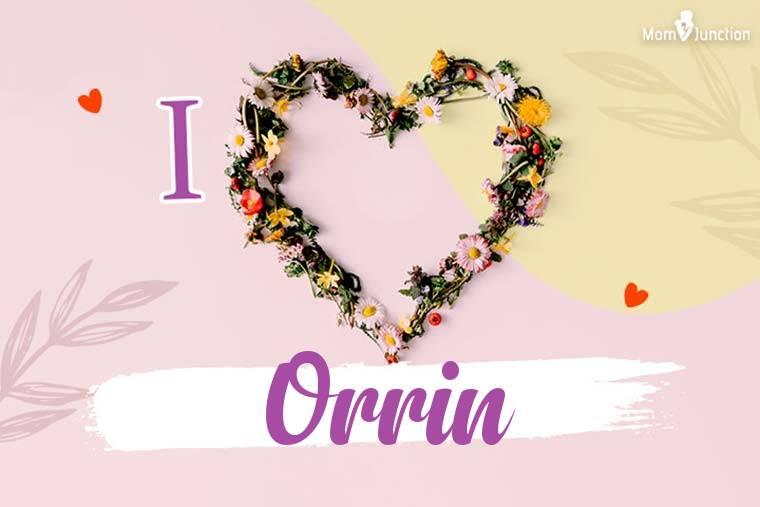 Explore Orrin: Meaning, Origin & Popularity