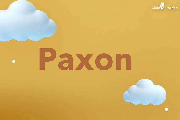 Explore Paxon: Meaning, Origin & Popularity