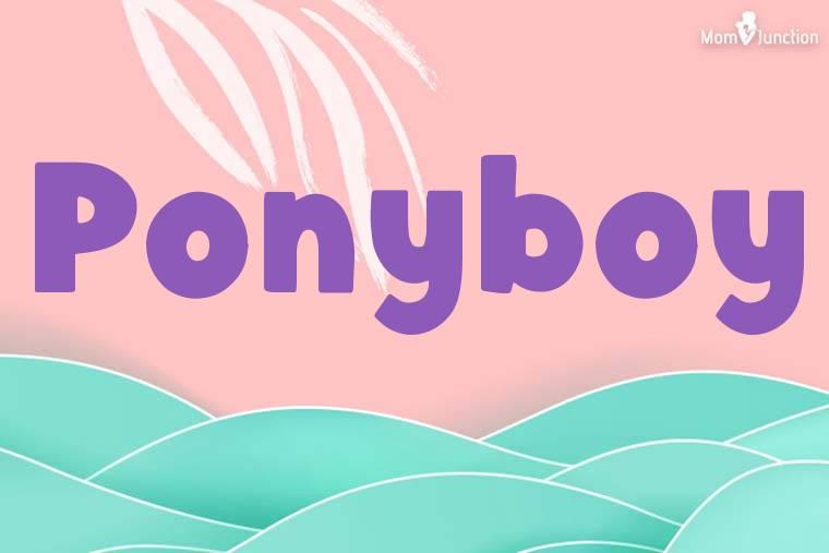 Explore Ponyboy: Meaning, Origin & Popularity