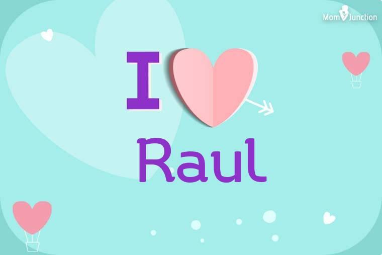 Raul Name Meaning, Origin, History, And Popularity