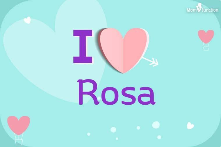 Rosa Name Meaning, Origin, History, And Popularity