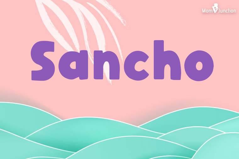 Sancho Baby Name Meaning: Complete Guide To Origin & Variations
