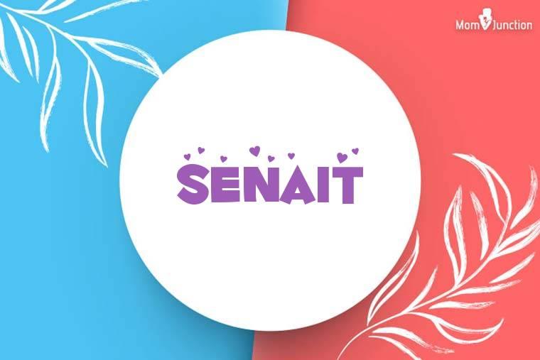 Senait Name Meaning, Origin, History, And Popularity | MomJunction