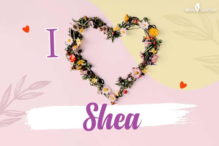 Shea Name Meaning, Origin, History, And Popularity