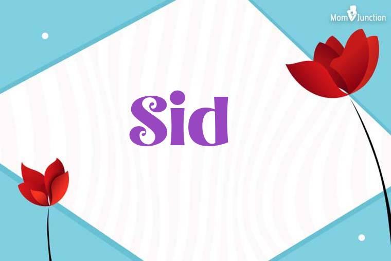 Explore Sid Baby Name Origin & Meaning: What You Need To Know: Meaning ...