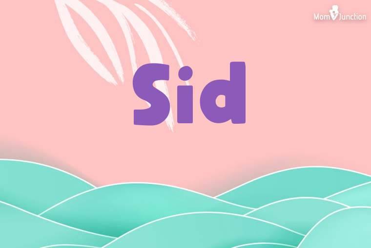 Explore Sid Baby Name Origin & Meaning: What You Need To Know: Meaning ...