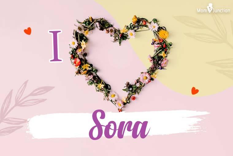 Sora Name, Origin, Meaning, And History