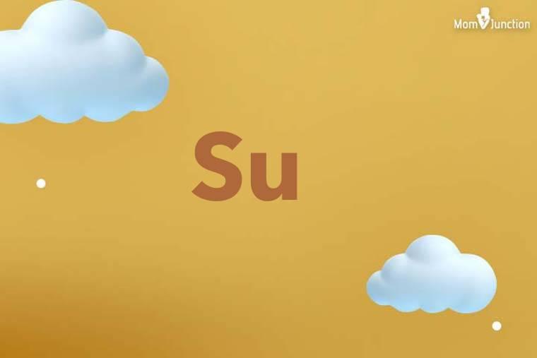 Explore Su Name Meaning: Origins, History, And Cultural Insights ...
