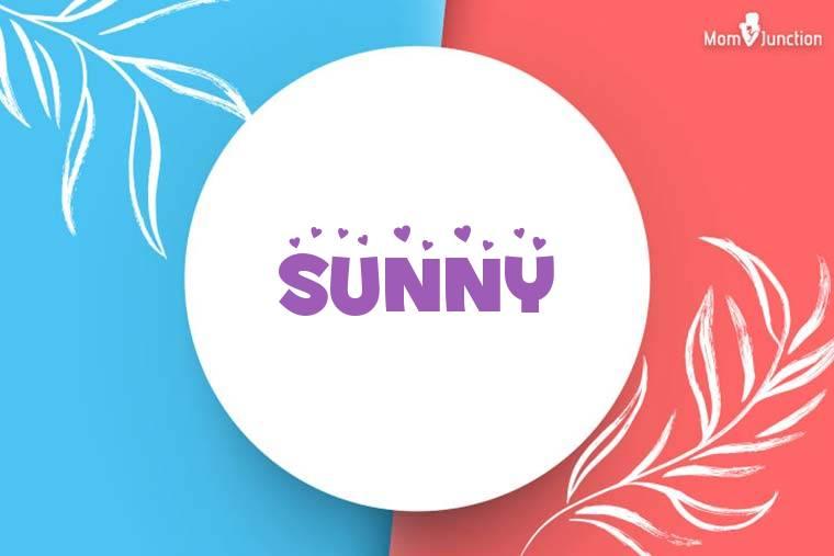 Sunny Name Meaning, Origin, History, And Popularity