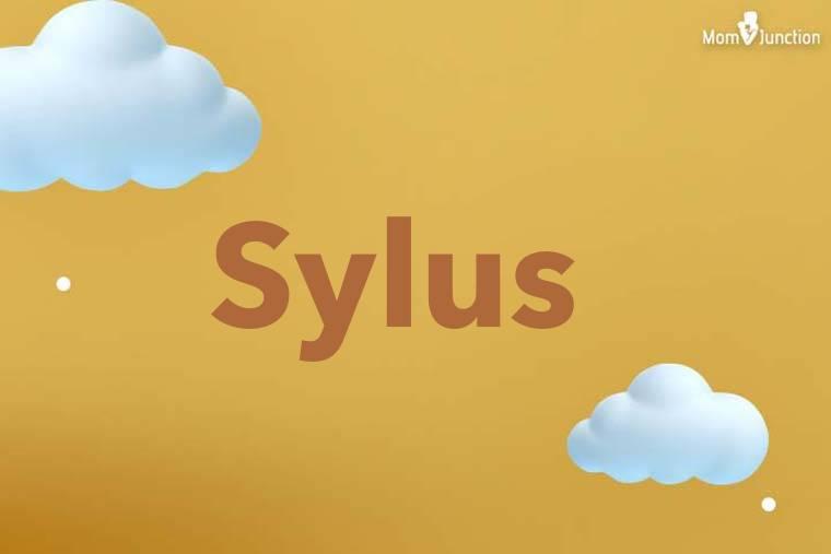 Explore Sylus: Meaning, Origin & Popularity