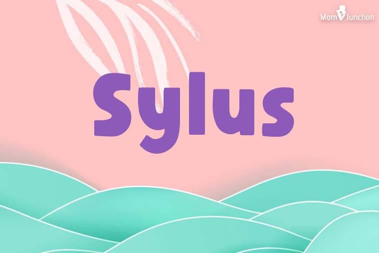 Explore Sylus: Meaning, Origin & Popularity