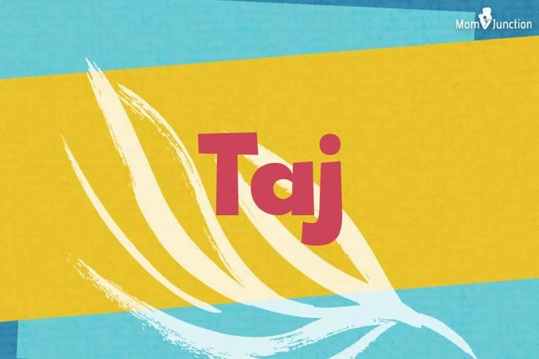 Explore Taj: Meaning, Origin & Popularity