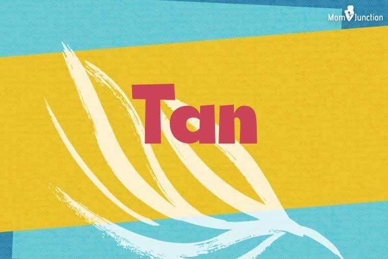 Explore Tan: Meaning, Origin & Popularity