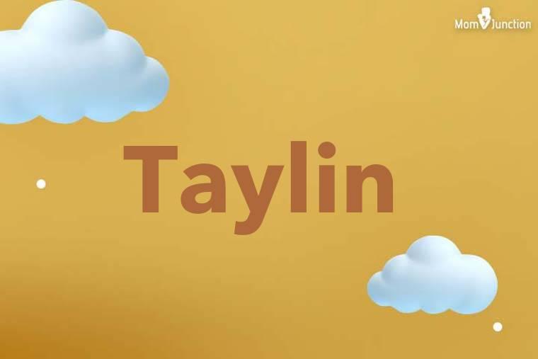 Explore Taylin: Meaning, Origin & Popularity
