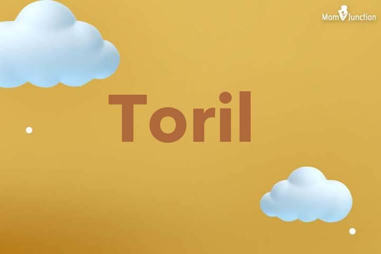 Explore Toril: Meaning, Origin & Popularity