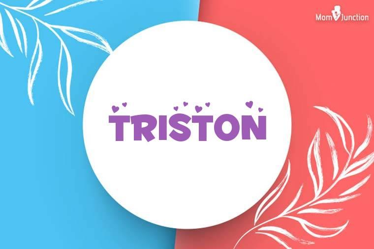 Triston Name Meaning, Origin, History, And Popularity